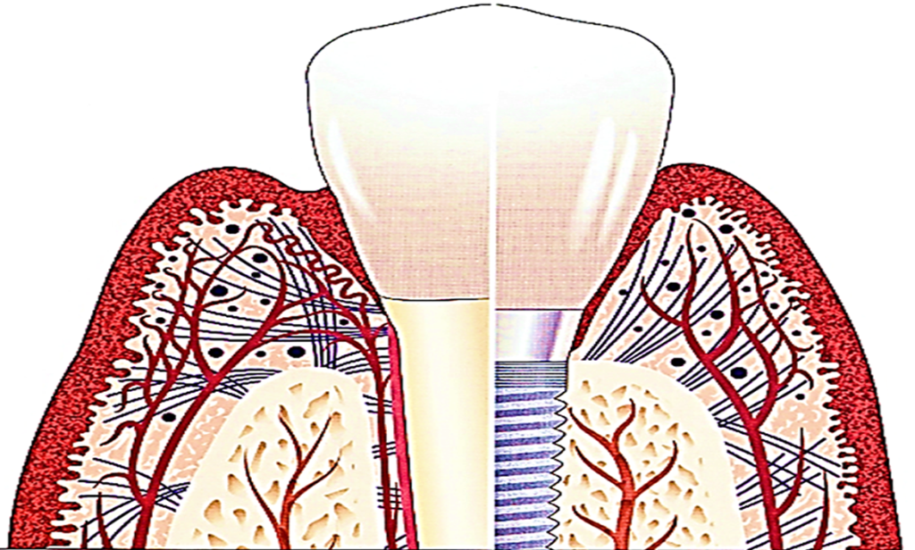 Bij- en nascholingsagenda van de Parodontologie Praktijk Fokkema te 's ...
